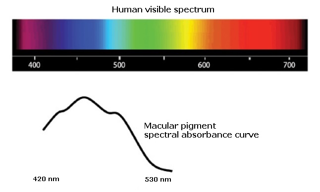 Less light sensitivity, computer eye strain: BlueLight filtering diet ...
